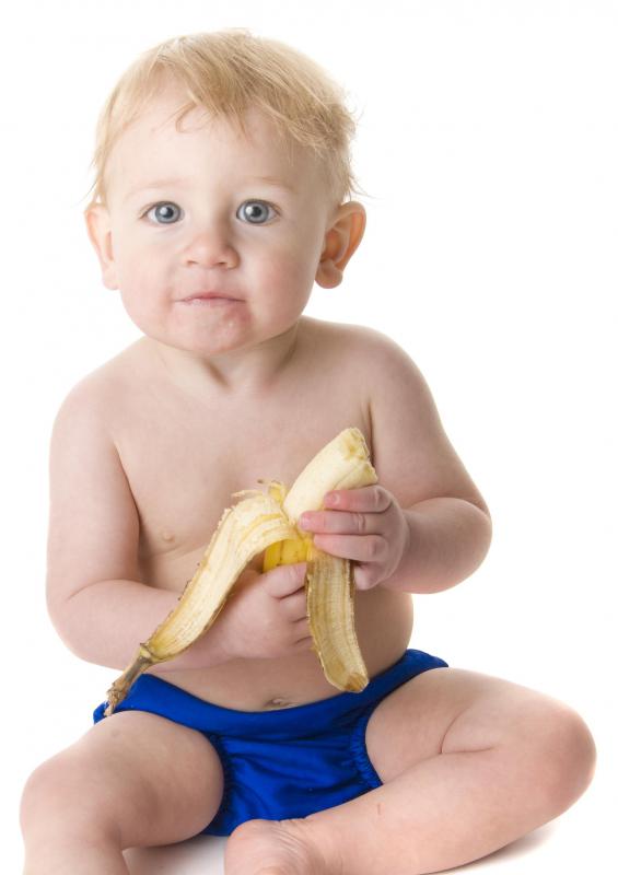 What Are The Pros And Cons Of Banana Baby Food with Pictures What Are The Pros And Cons Of Banana Baby Food with Pictures