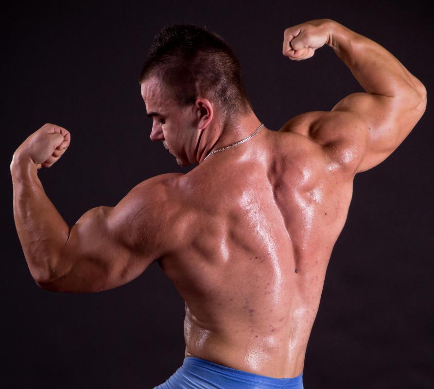 What Are The Different Types Of Bodybuilding Supplies 