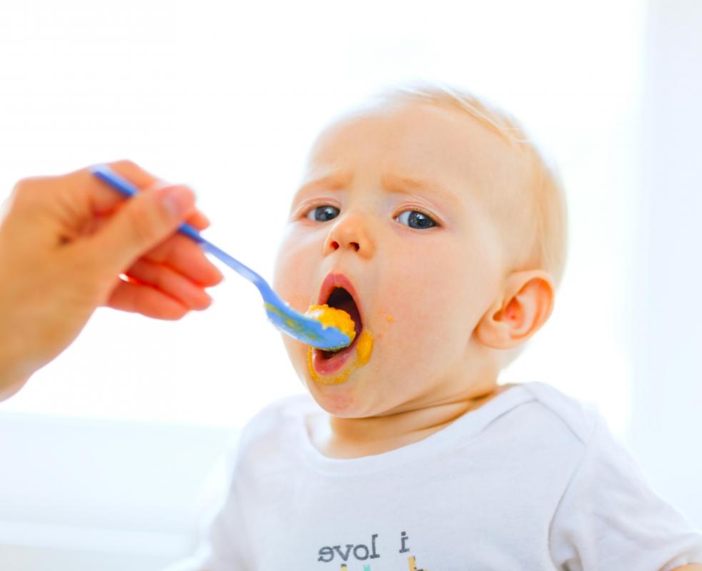 What Are The Best Foods For A 6 Month Old Baby with Pictures What Are The Best Foods For A 6 Month Old Baby with Pictures