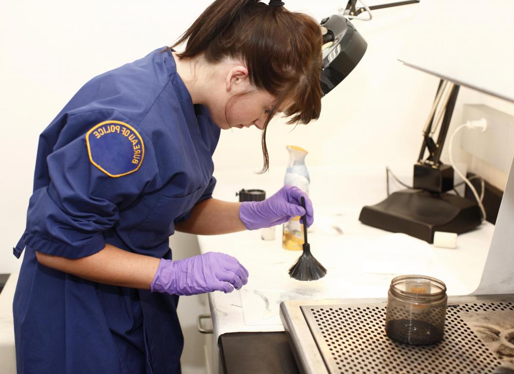 What Does A Forensic Criminologist Do with Pictures 