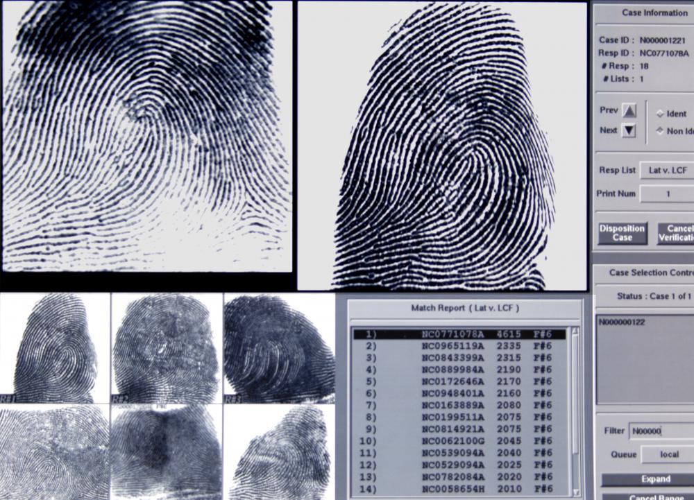 What Does A Fingerprint Examiner Do with Pictures 