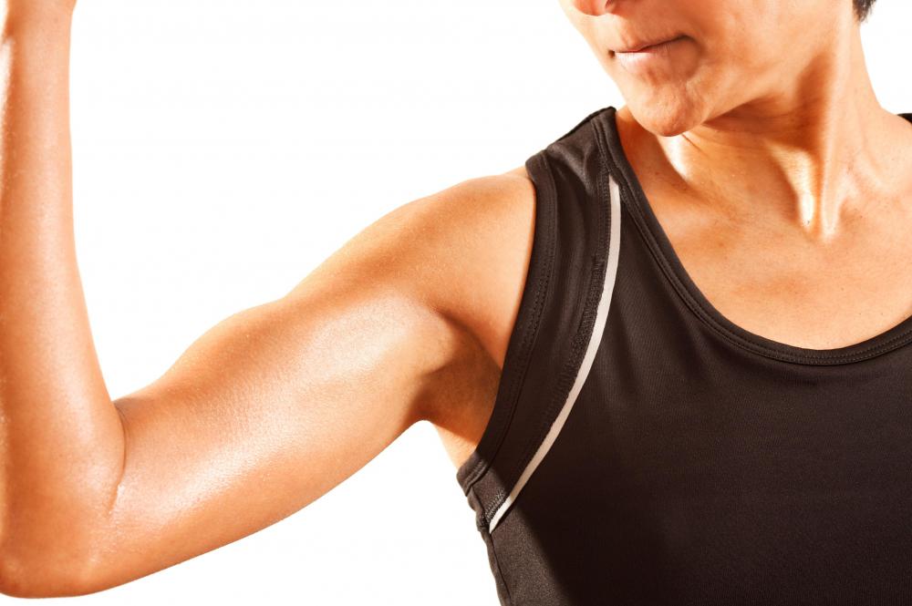 What Are The Different Types Of Agonist Muscles 