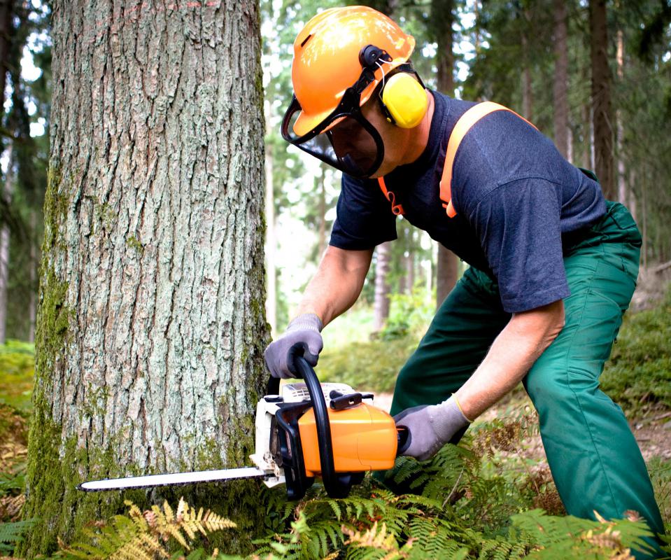 What Are The Different Types Of Power Tools with Pictures What Are The Different Types Of Power Tools with Pictures