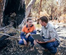 What Is an Impact Study? (with pictures)