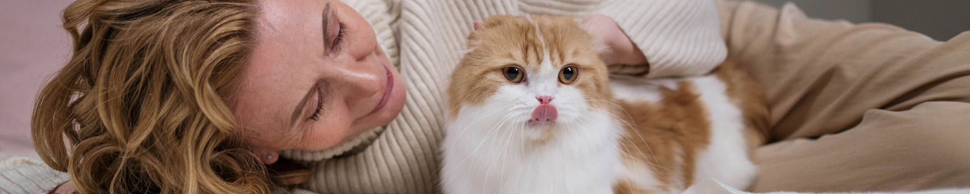 Top 10 Best Emotional Support Cat Breeds