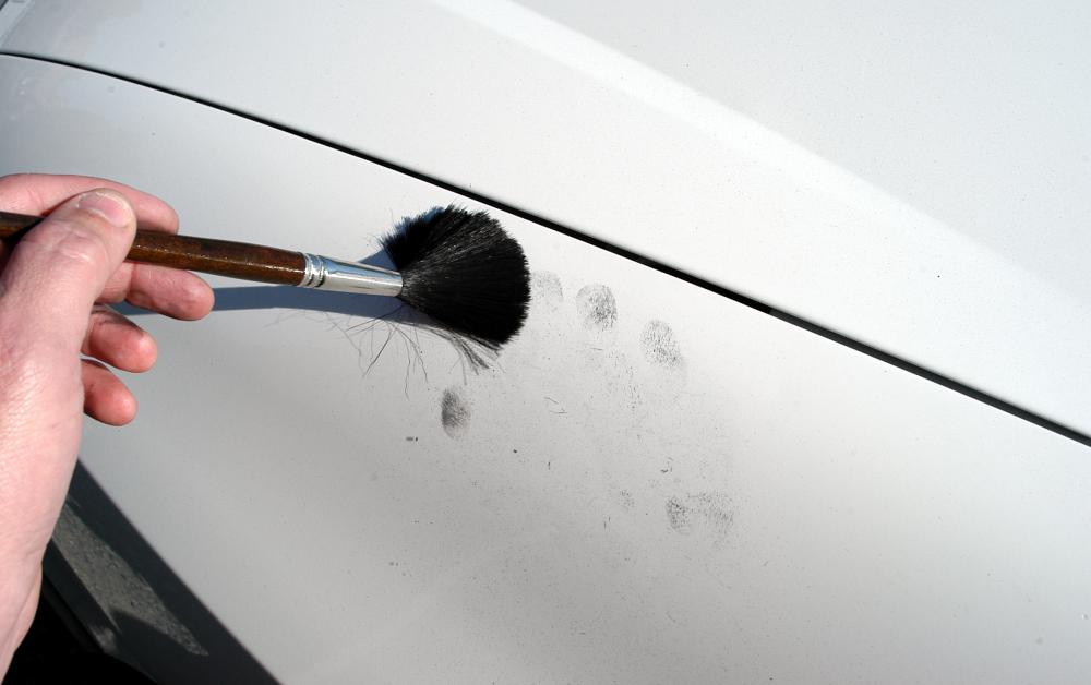 What Are The Different Fingerprint Techniques with Pictures 