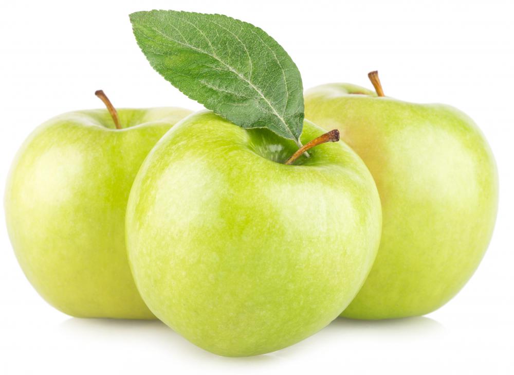 What Are The Different Types Of Tart Apples with Pictures What Are The Different Types Of Tart Apples with Pictures