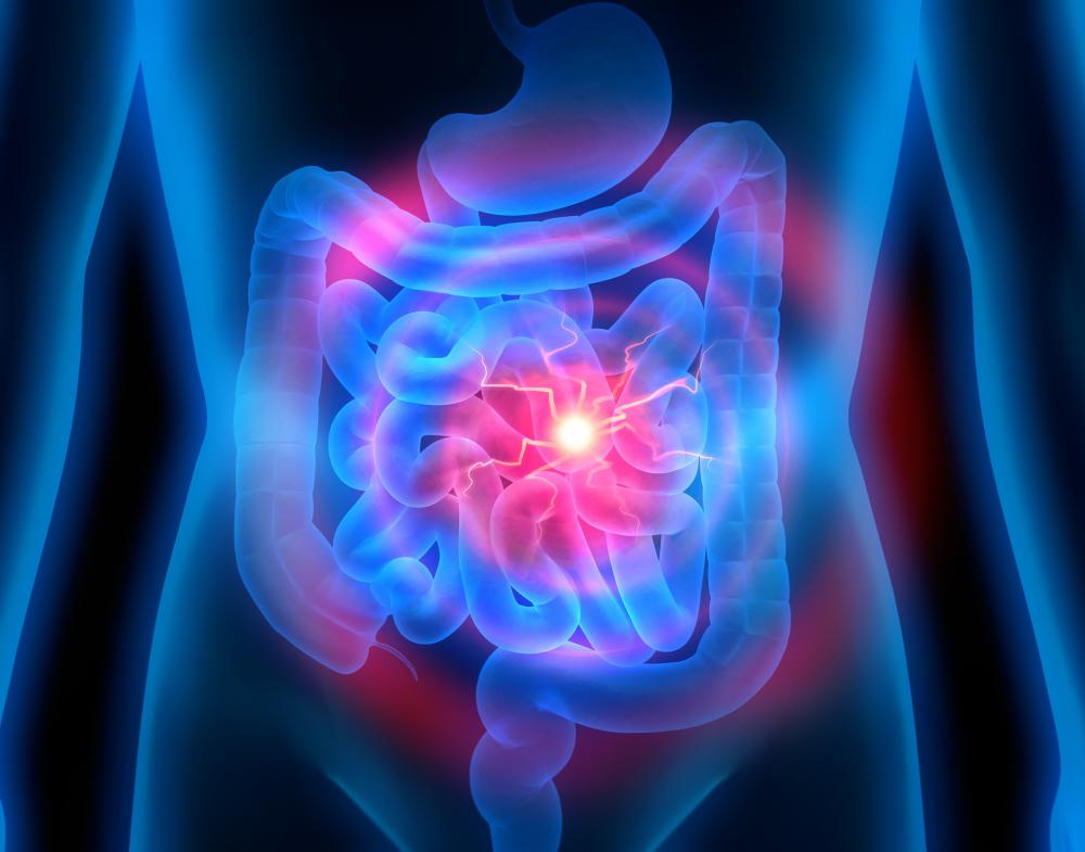 What Are The Different Types Of Gastrointestinal Virus 